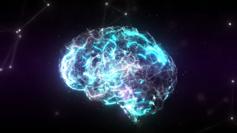 Alpha Palm Vitamin - Nutritional Value And Benefits - The Crop site