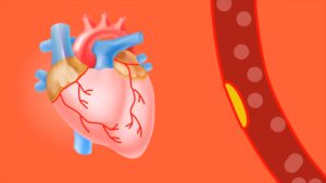 Alpha Palm Vitamin - Nutritional Value And Benefits - The Crop site