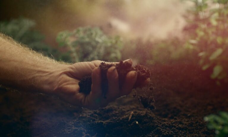 Here is How Much Peat Moss Is Needed to Effectively Lower Soil pH - The ...