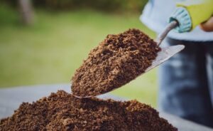 Here is How Much Peat Moss Is Needed to Effectively Lower Soil pH - The ...