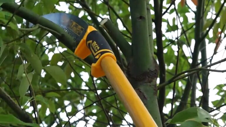 Top 10 Must-Have Tools for Every Arborist 2024 – From Saws to Safety ...