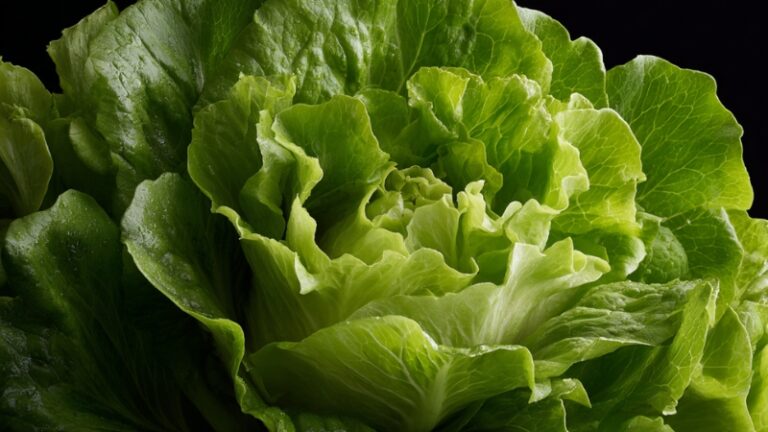 10 Vegetables With Shallow Roots For Your Garden Box - The Crop site