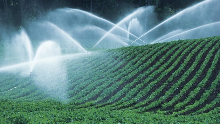 How to Calculate Water Needs for Your Crop Using ET Rates - The Crop site